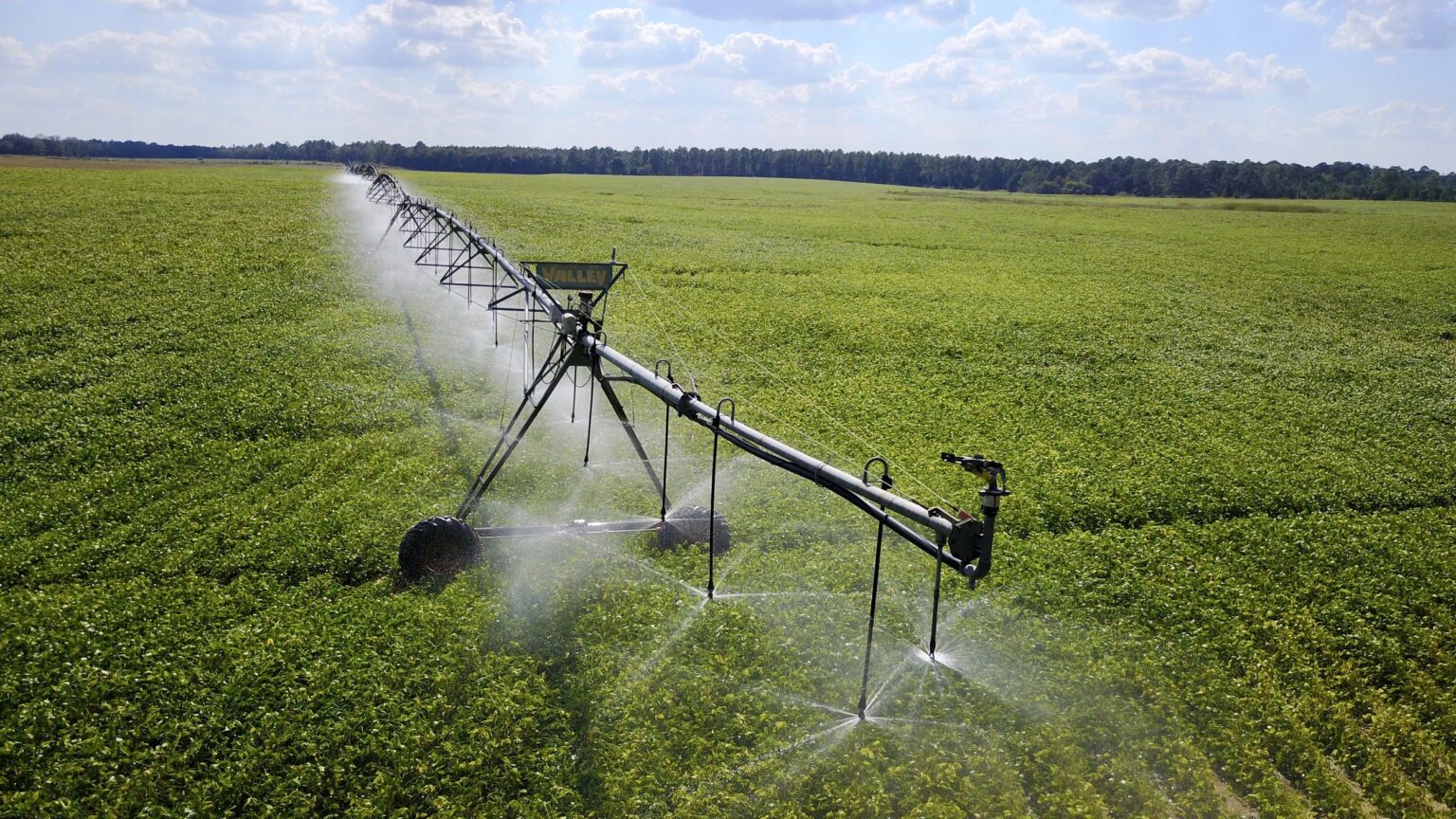 Water-efficient irrigation techniques in sustainable agriculture for ...