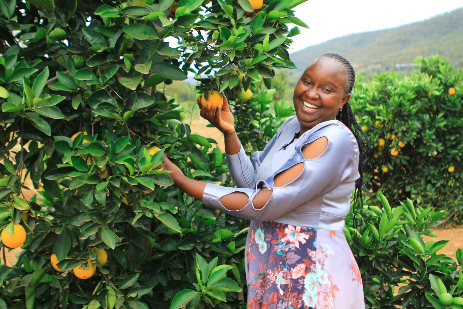 Arabuko | Fresh Farm Produce for your business, institute or home ...